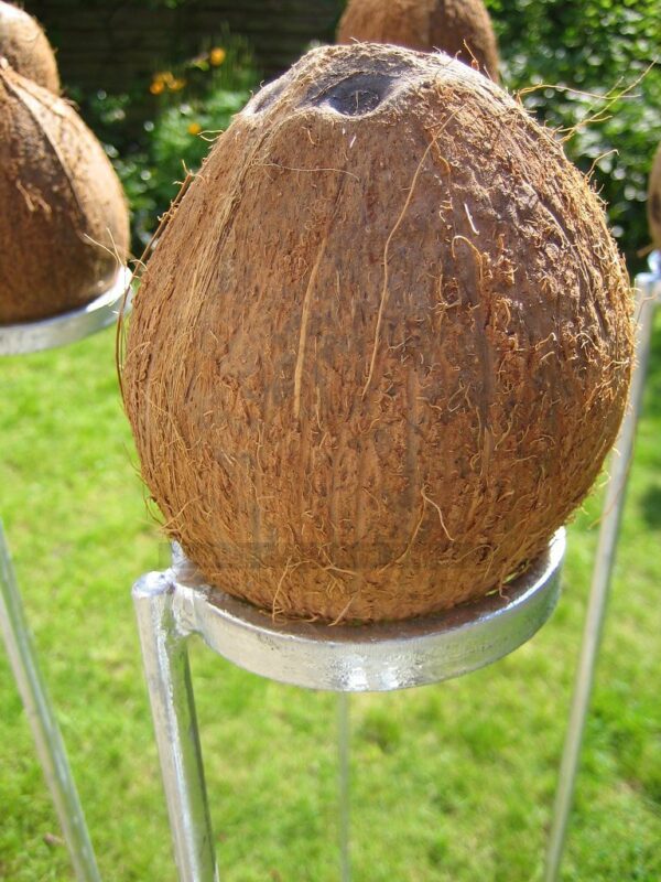 Coconut Shy bundle. Set of coconut shy posts & wooden balls